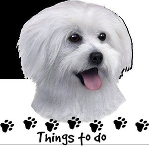 Assorted Maltese Magnetic Post It Dog Breed Stationery Notepad - Etsy