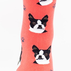 Assorted Boston Terrier Dog Breed Lightweight Stretch Cotton Adult ...