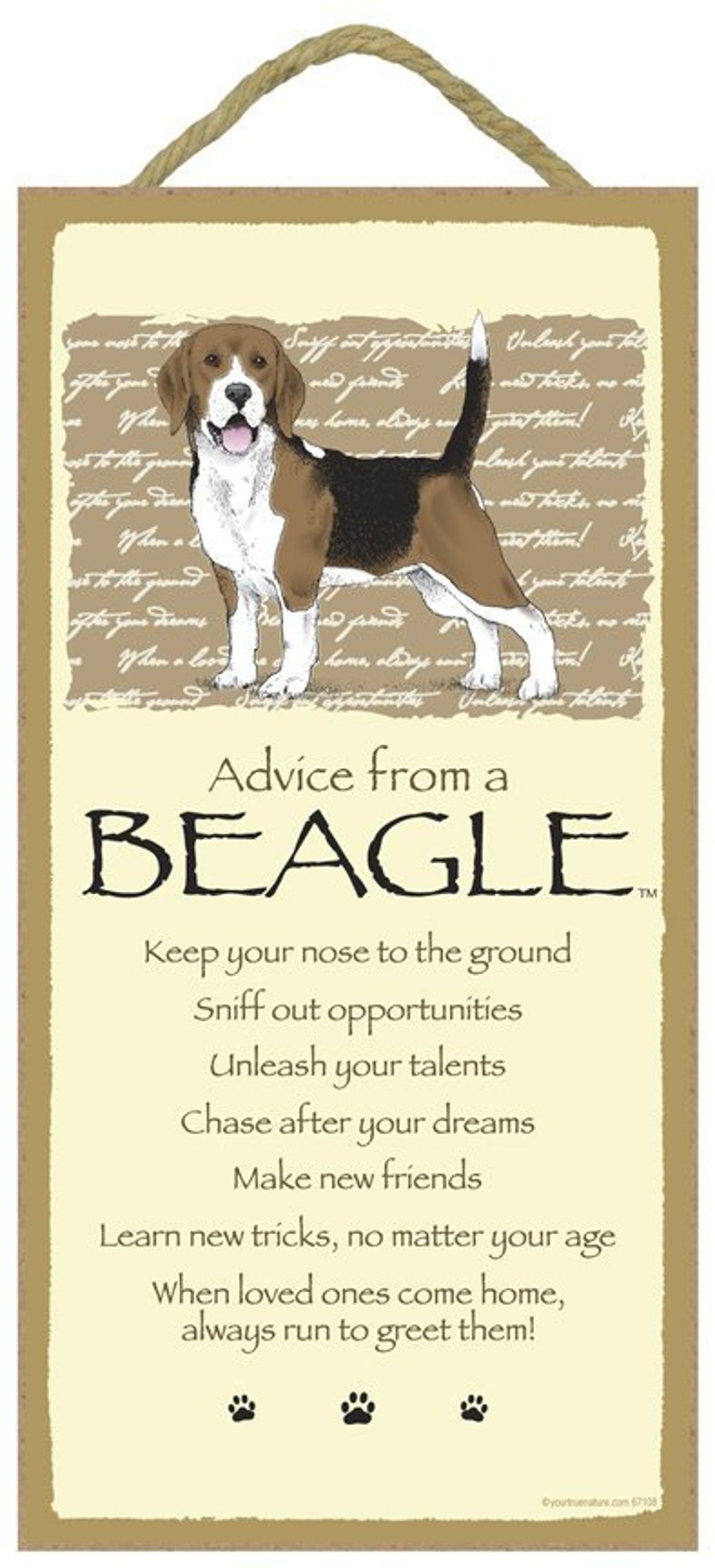 Advice From A Beagle Wood Dog Sign - Etsy