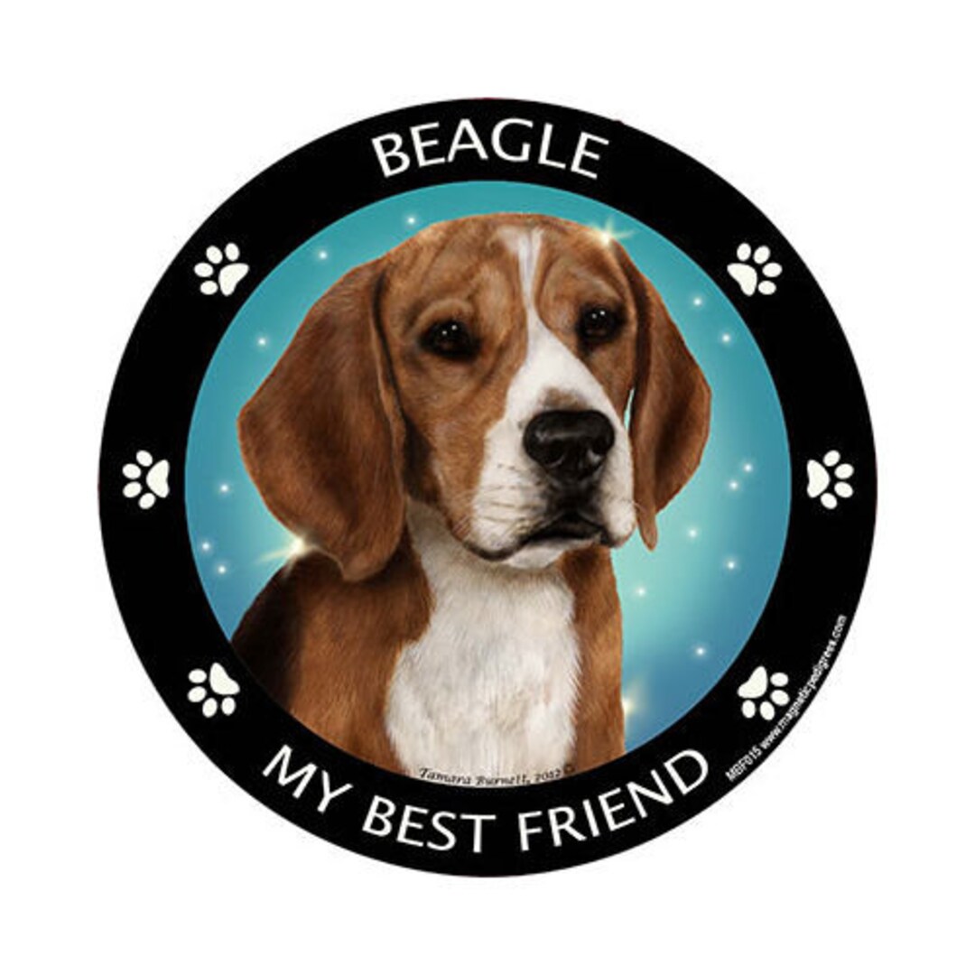 Beagle My Best Friend Dog Magnet - Etsy
