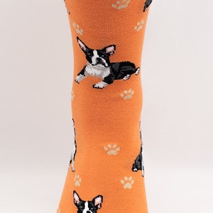 Assorted Boston Terrier Dog Breed Lightweight Stretch Cotton Adult ...