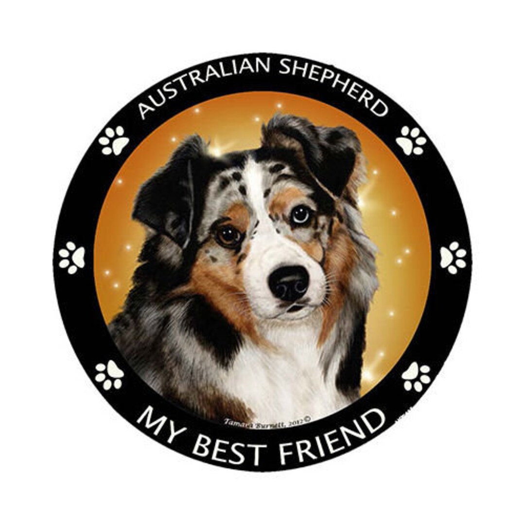 Australian Shepherd My Best Friend Dog Magnet - Etsy