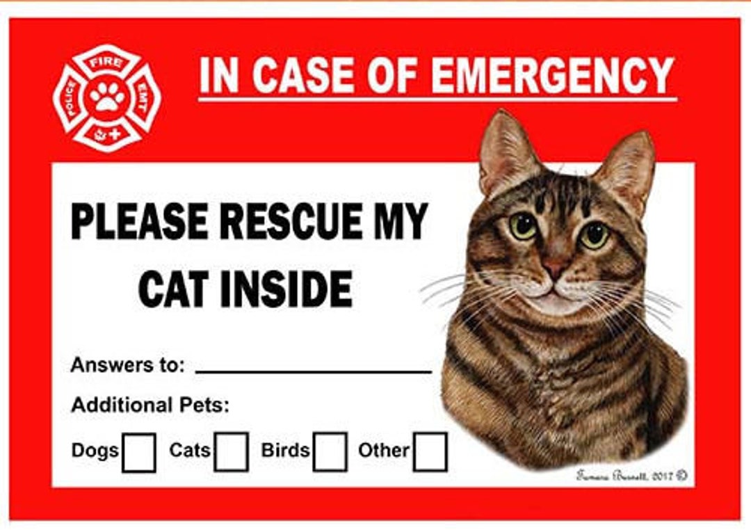 Brown Tabby Cat Pet Savers Dog Emergency Rescue Window Cling - Etsy