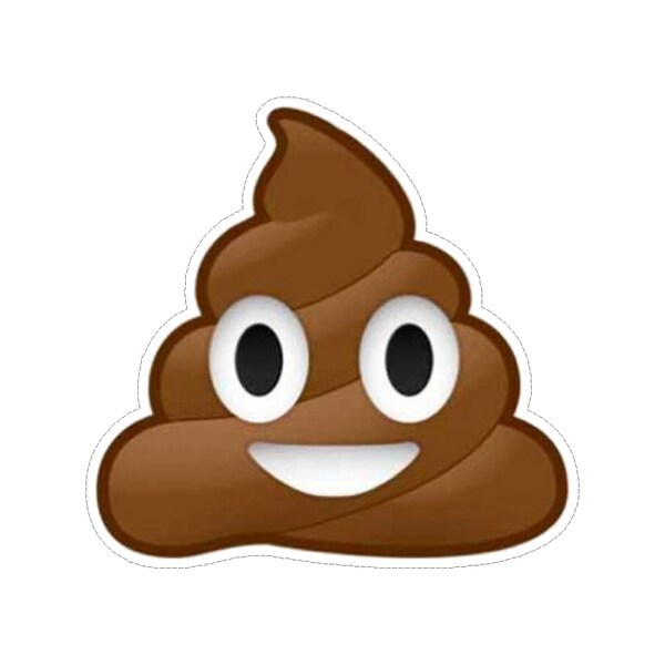Poop Decal - Etsy