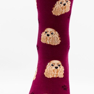 Cocker Spaniel Dog Breed Lightweight Stretch Cotton Adult Socks - Etsy