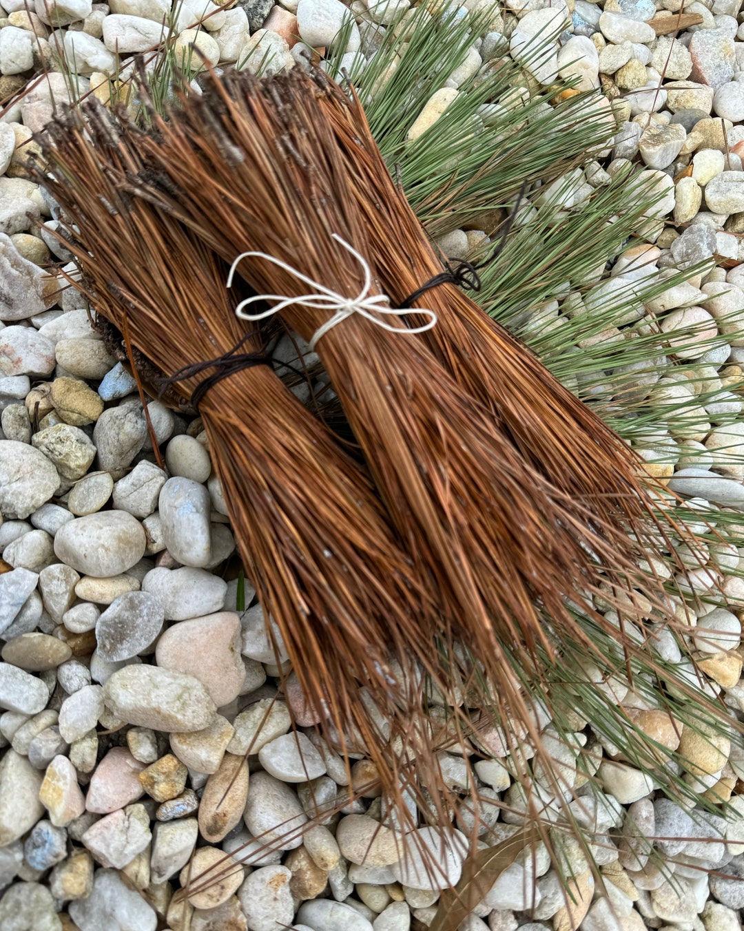 Loblolly Pine Needles - Etsy