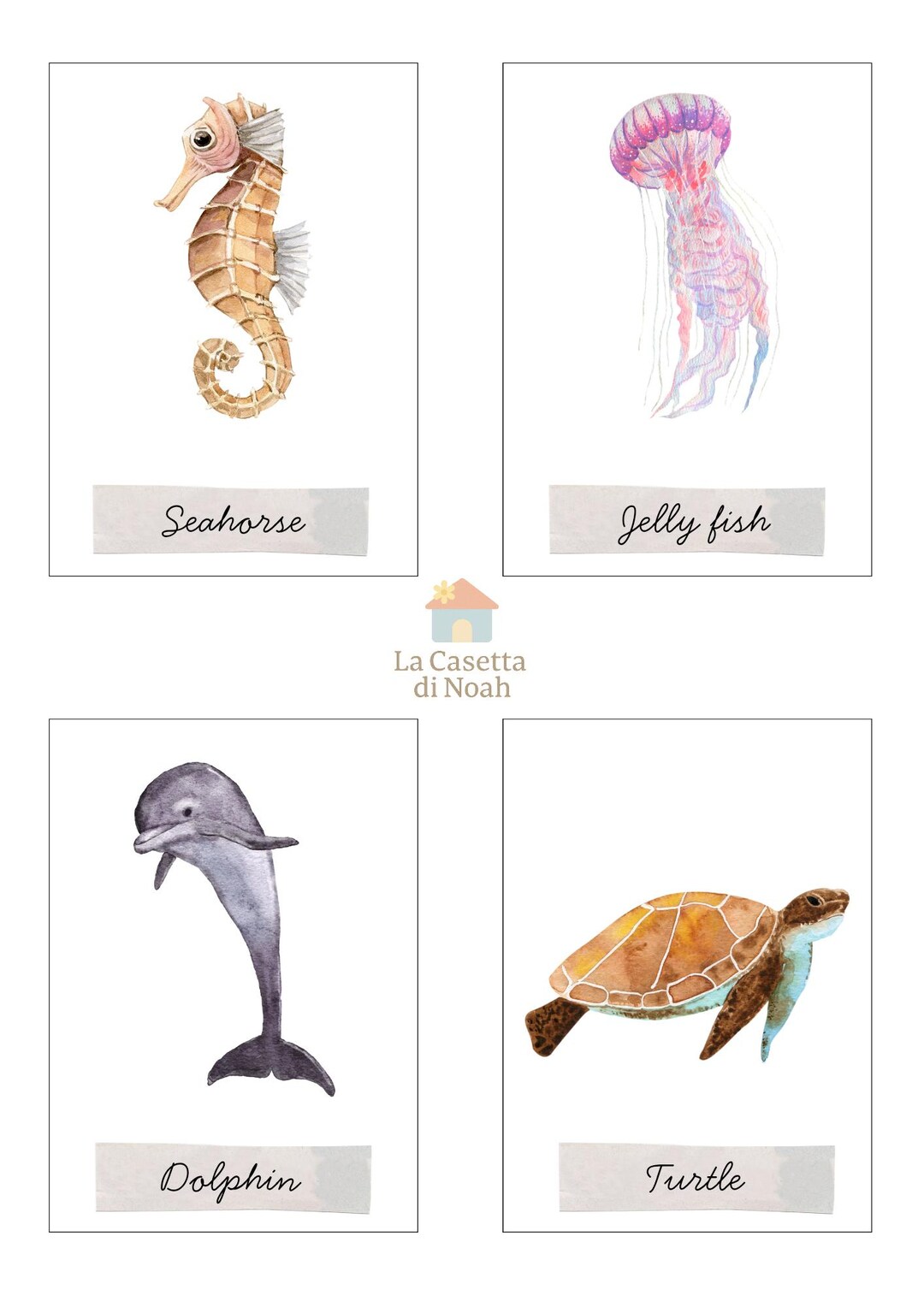Sea Creature Cards for Learning - Etsy