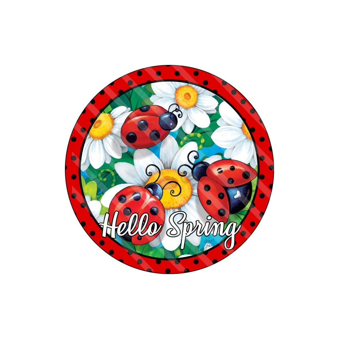 Hello Spring Lady Bug Wreath Sign, Signs for Wreaths, Wreath ...