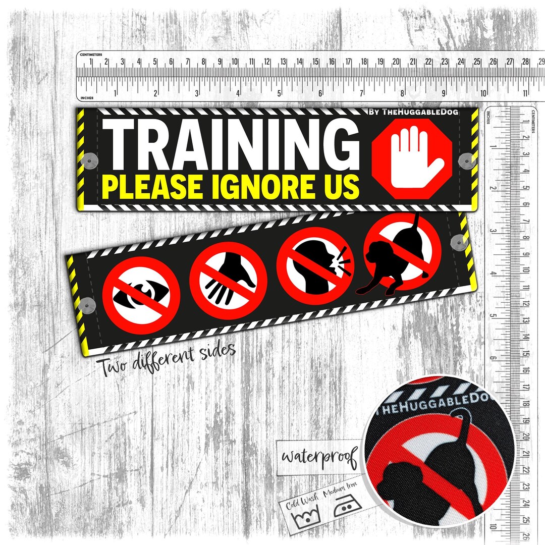 Training, Please IGNORE Us. Signs on the Other Side. Warning Leash ...