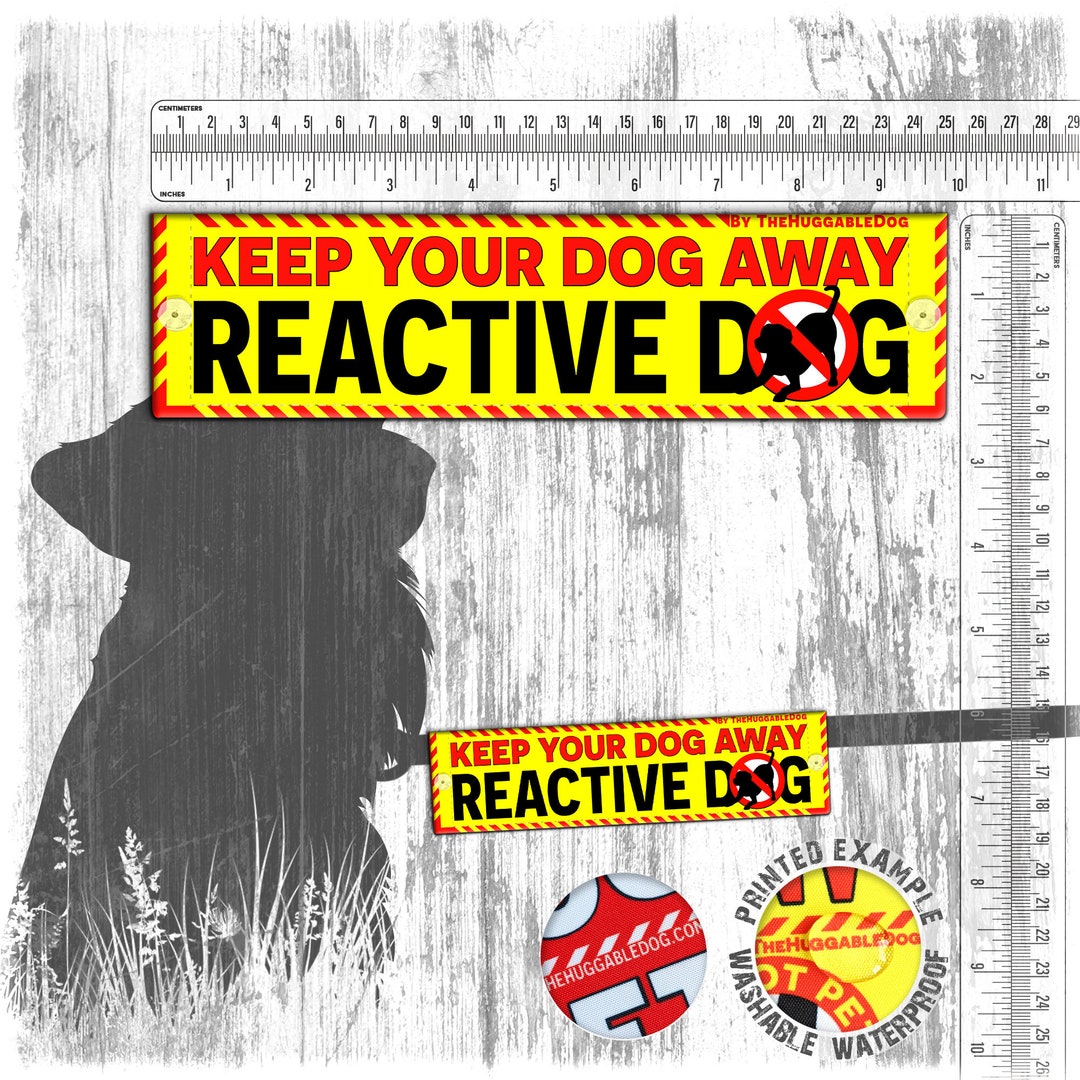 Keep Your DOG AWAY, Reactive Dog. Warning Leash Sleeves for Dogs. - Etsy