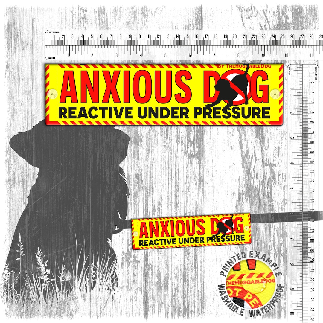 Anxious Dog, REACTIVE Under Pressure. Warning Leash Sleeves for Nervous ...