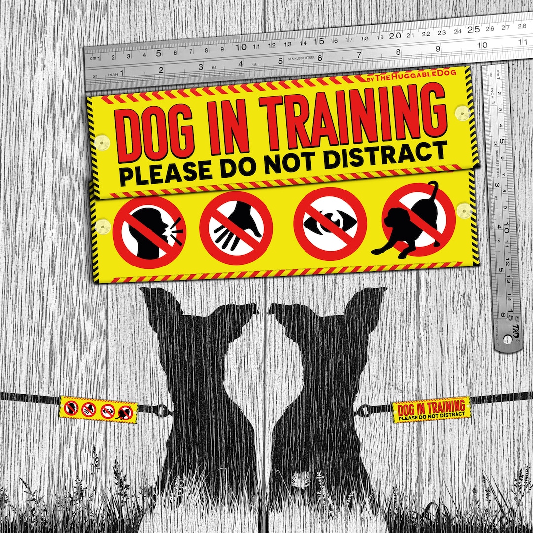 Dog in Training Please DO NOT DISTRACT Plus Signs on the - Etsy