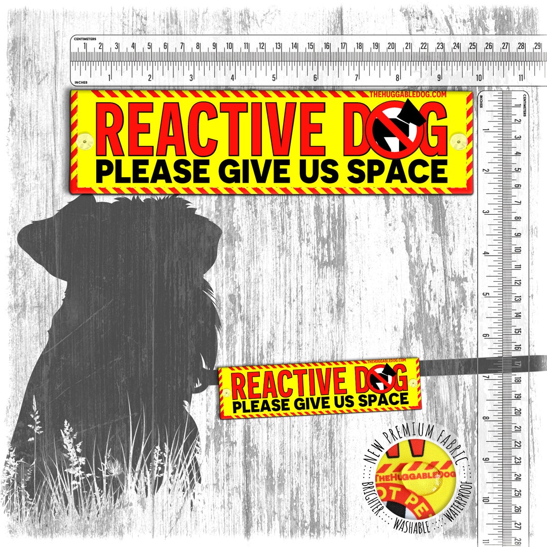 REACTIVE Dog (no Dogs Sign), Please Give Us Space. Warning Leash ...