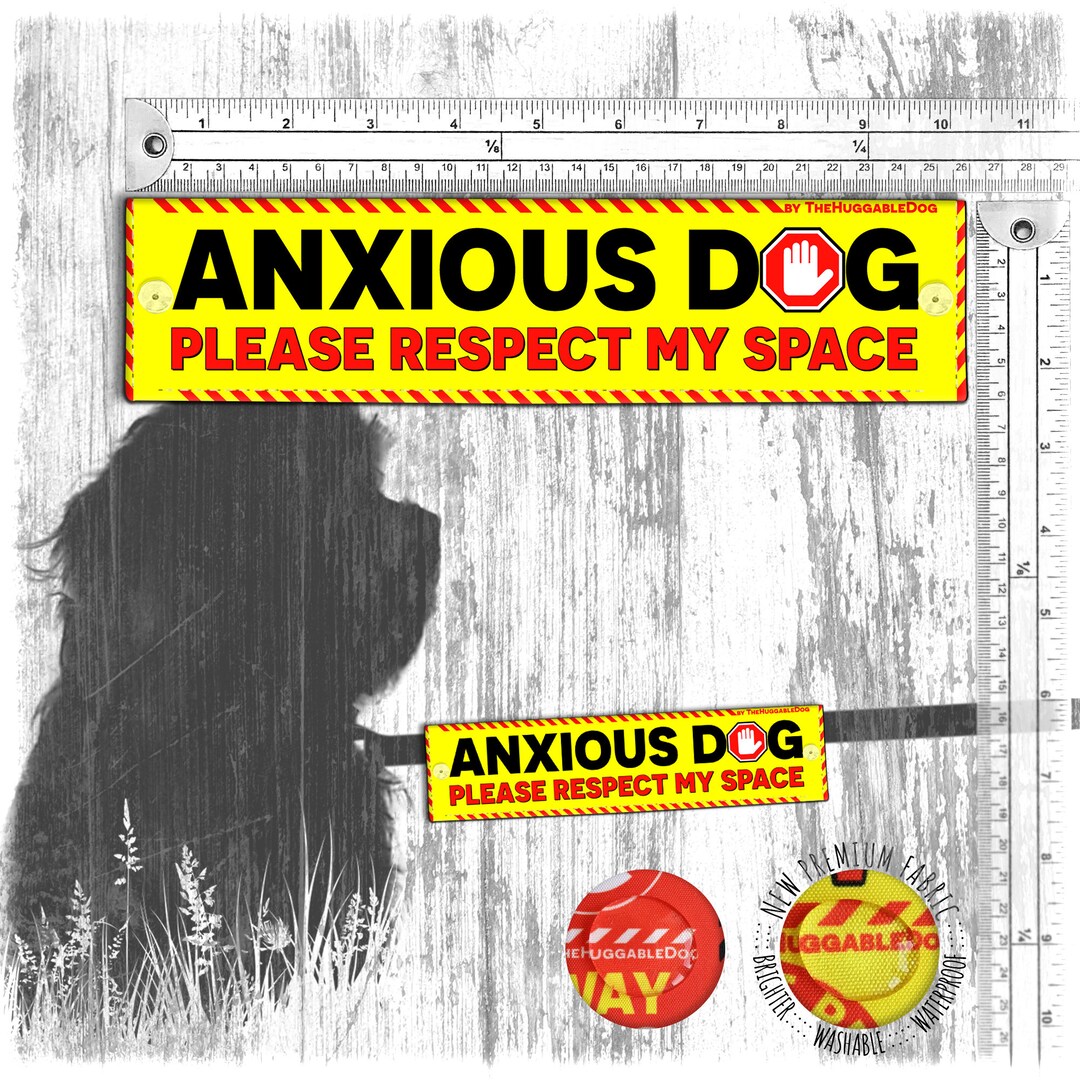 ANXIOUS Dog Please Respect My SPACE Yellow Warning Leash - Etsy