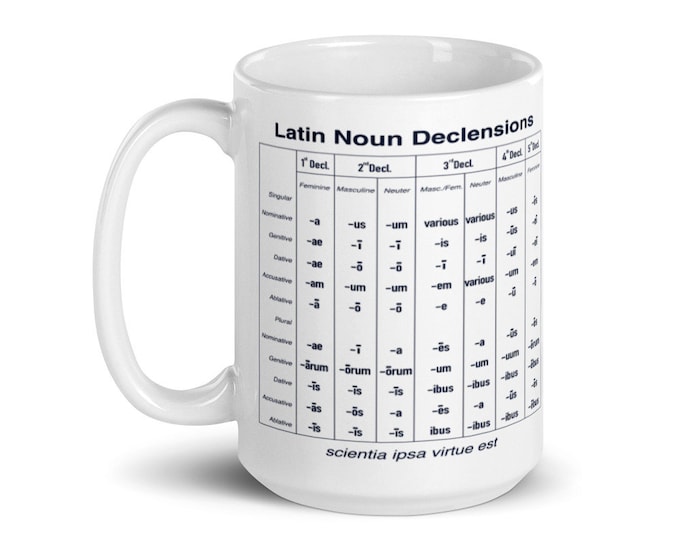 Latin Declension Classroom Poster Handout for Latin Teaching Digital ...