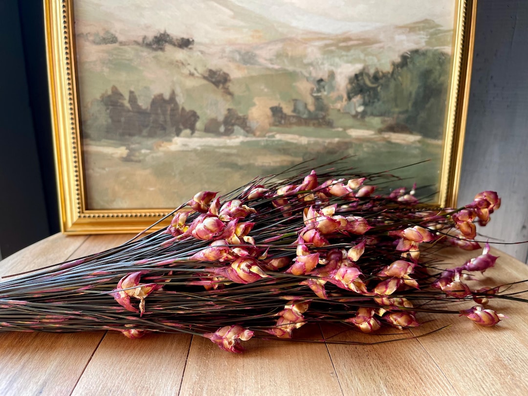 Bell Grass Pod Bundle, Dried Flower Stem, Real Preserved Flowers, Craft ...