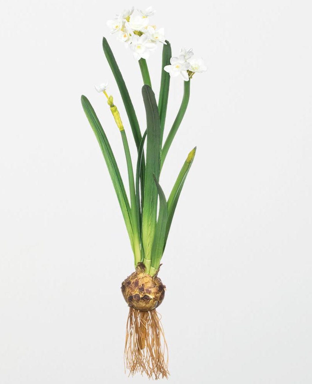 Artificial Paperwhite Bulb Botanical, Winter Decor, Craft Supply ...