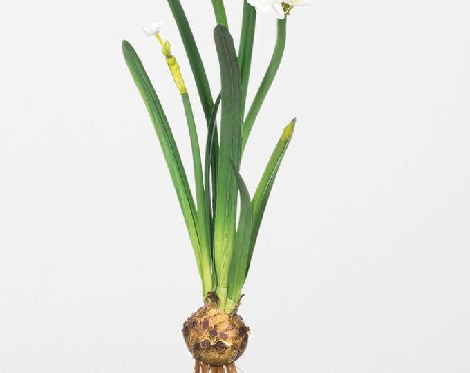 Artificial Paperwhite Bulb Botanical, Winter Decor, Craft Supply ...