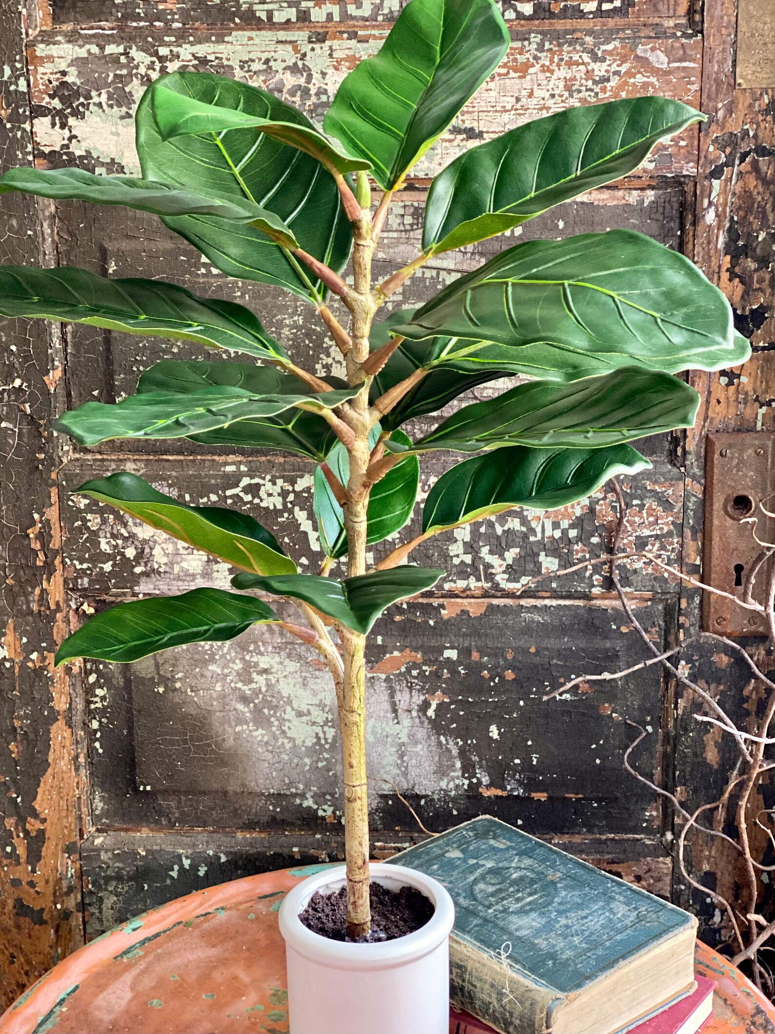 Artificial Real Touch Potted Fiddle Leaf Fig Tree Tabletop - Etsy