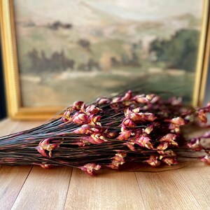 Bell Grass Pod Bundle, Dried Flower Stem, Real Preserved Flowers, Craft ...