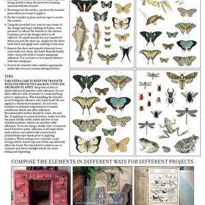 IOD Entomology Etcetera Rub on Transfer Sheet, Transfers for Crafts ...