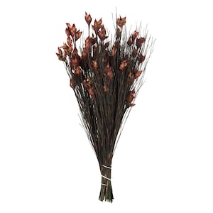 Bell Grass Pod Bundle, Dried Flower Stem, Real Preserved Flowers, Craft ...