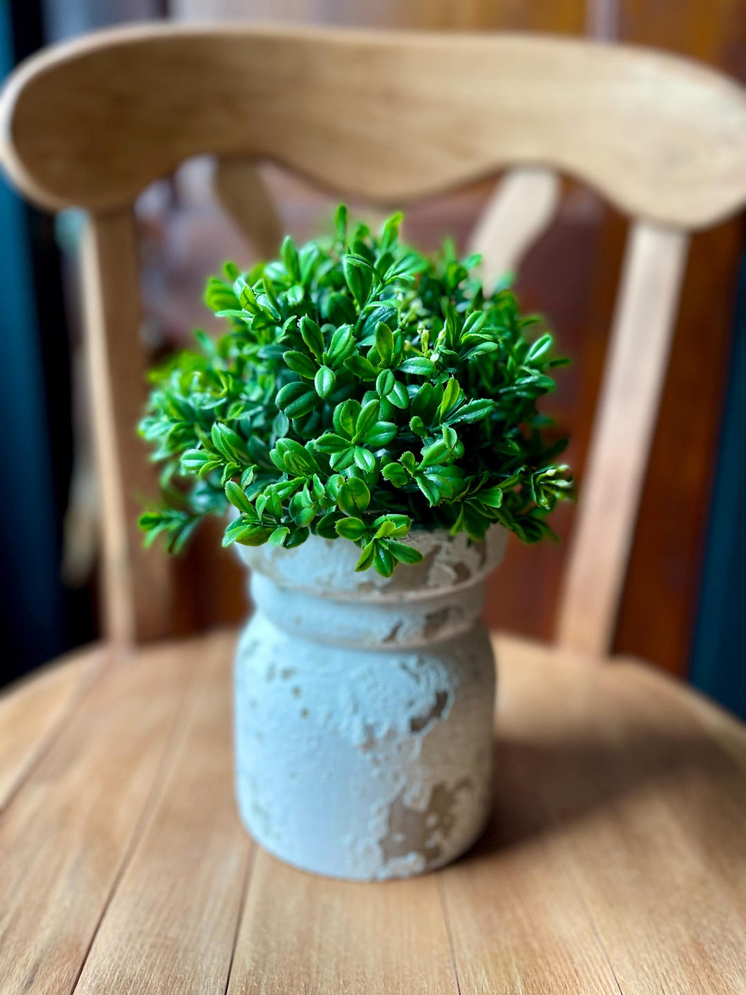 Artificial Boxwood Half Sphere, Evergreen DIY Topiary Greenery ...
