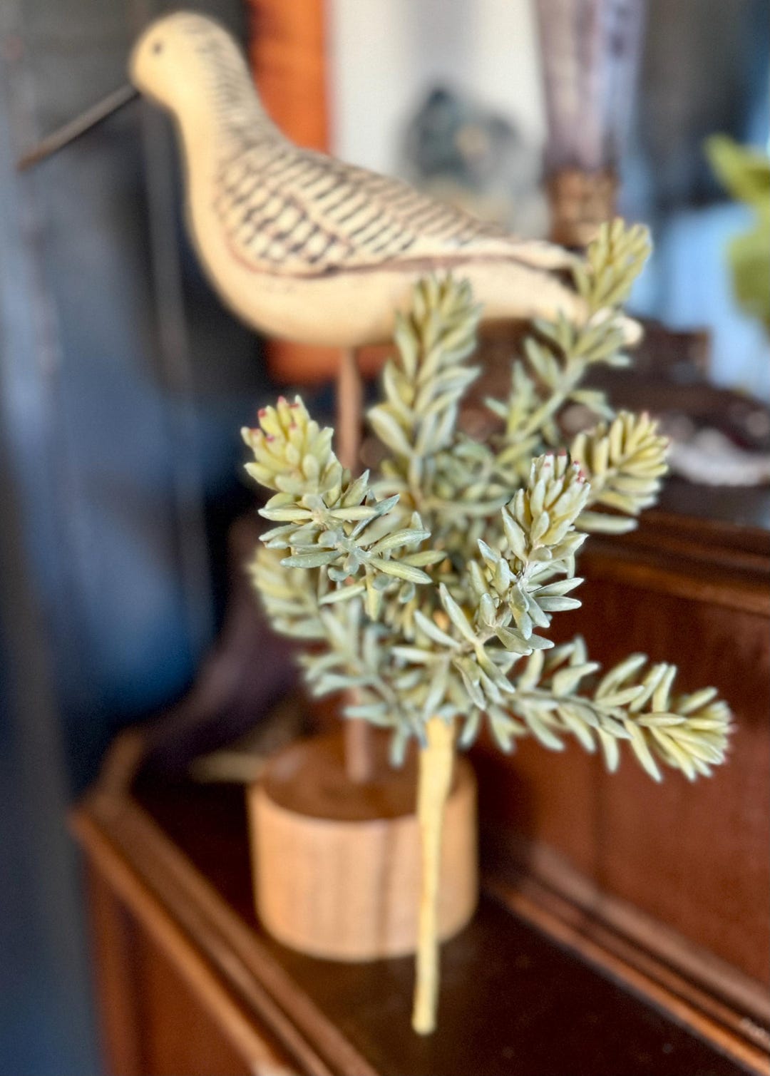 Artificial Succulent Pick, Realistic Succulent Greenery, Fake Flowers ...
