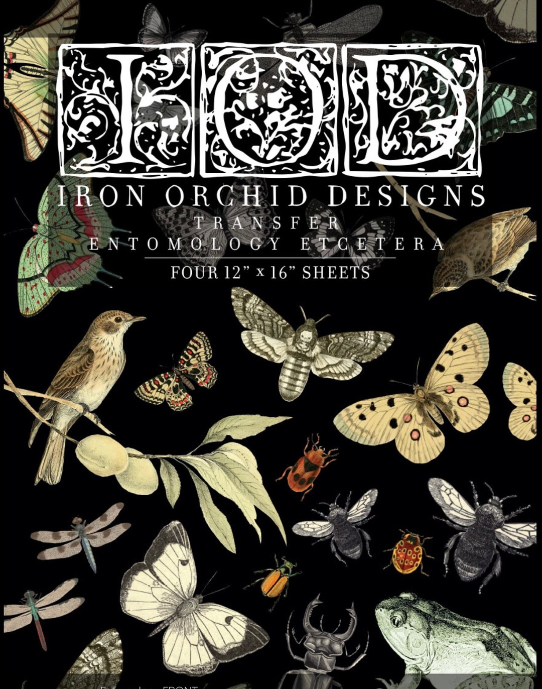 IOD Entomology Etcetera Rub on Transfer Sheet, Transfers for Crafts ...