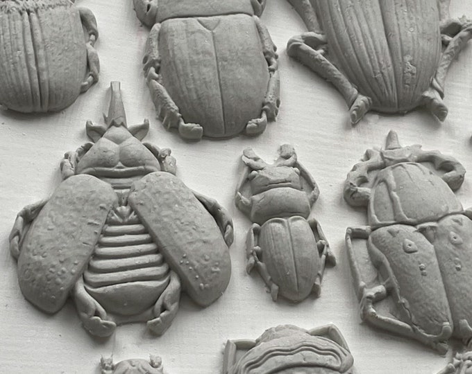 IOD Specimens Decor Mould, Casting Mould for Crafts & Jewelry, Soap ...
