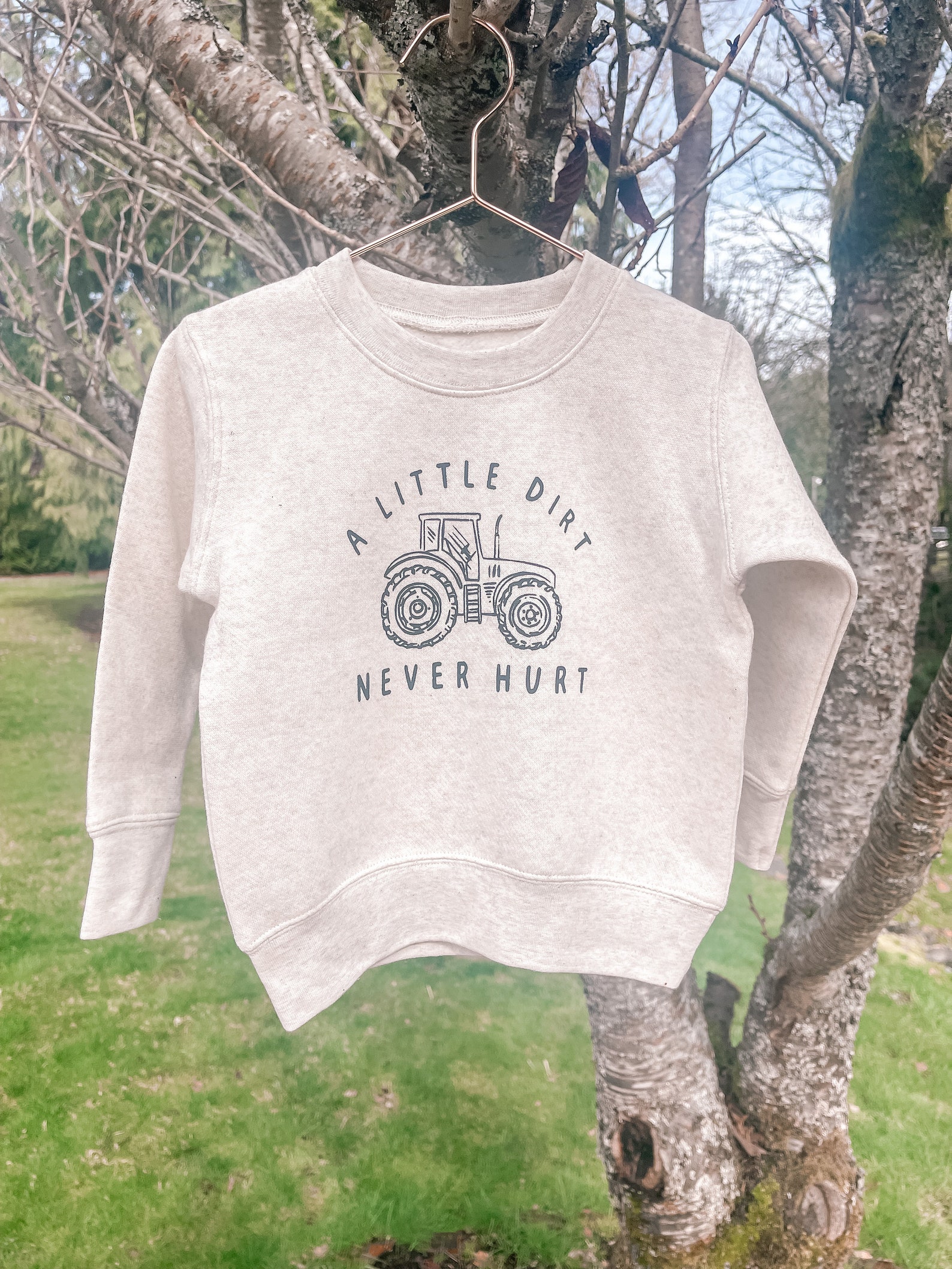 Toddler Tractor Sweatshirt Boy, A Little Dirt Never Hurt, Farmer Shirt ...