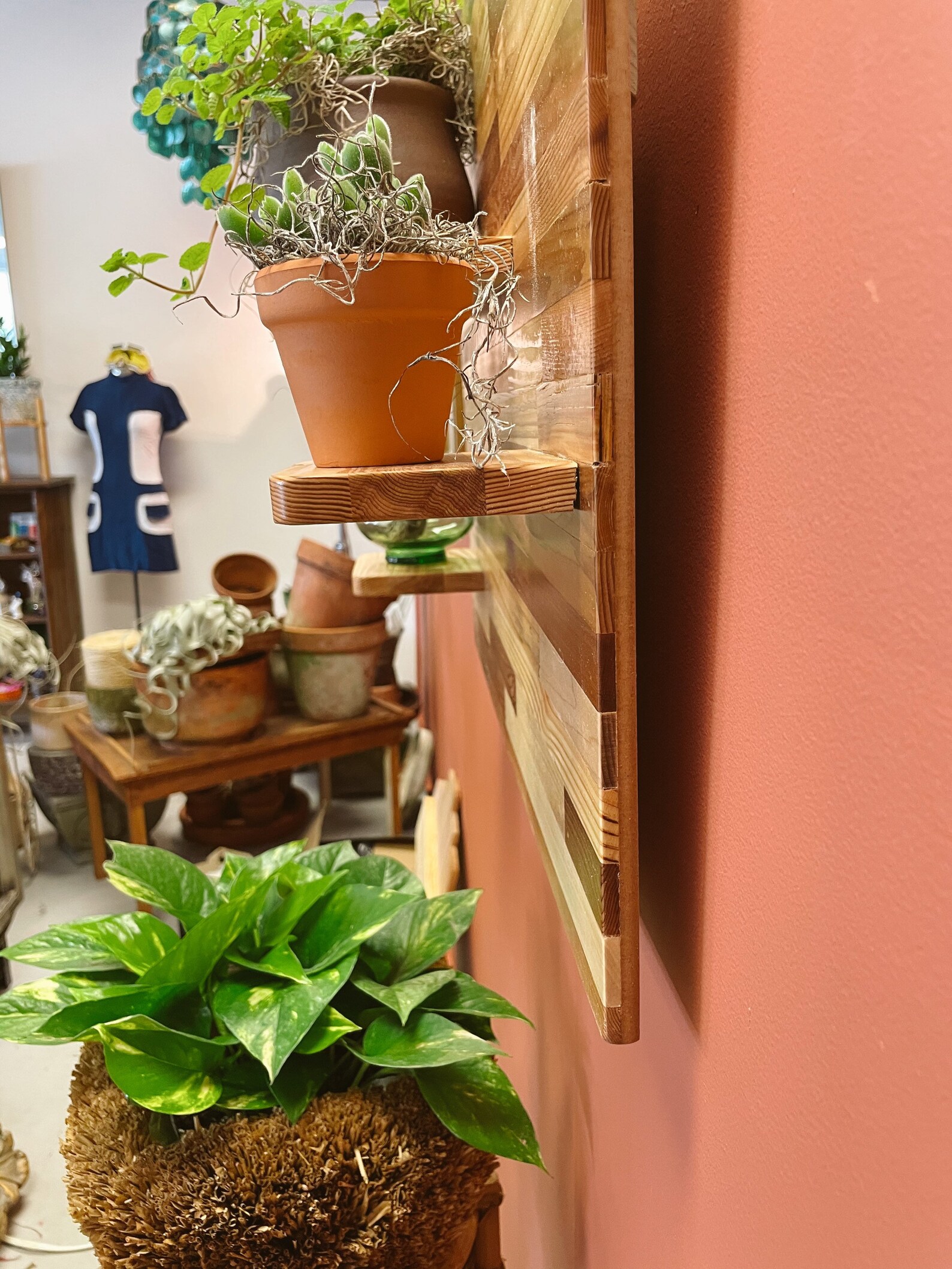 Floating Plant Shelf 24 X 18 Shelving for Walls - Etsy