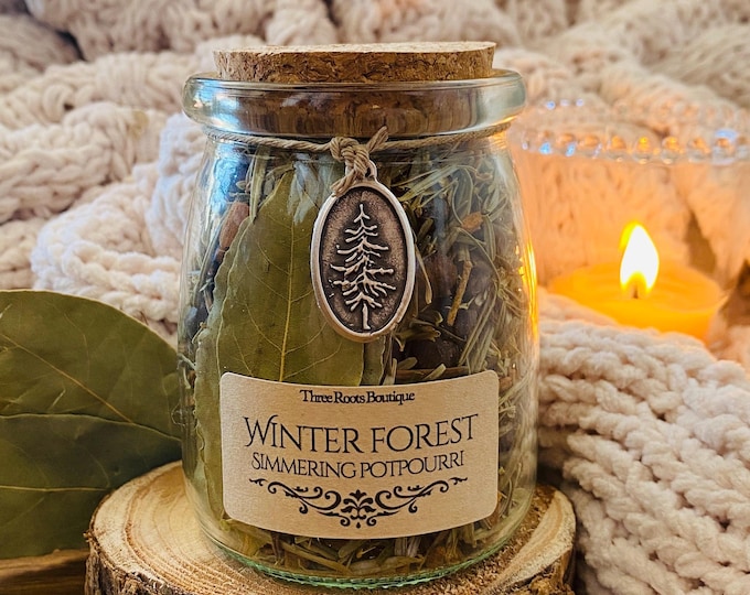 Winter Forest Simmering Potpourri - Etsy