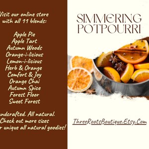 Set of 5 Simmering Potpourri in Bags Comfort Set - Etsy