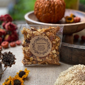 Apple Pie Simmering Potpourri - Etsy
