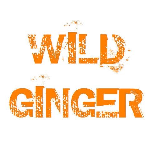 WildGingerBoutiqueCo - Etsy UK