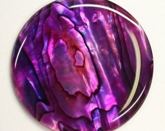 Purple Paua Shell | Etsy