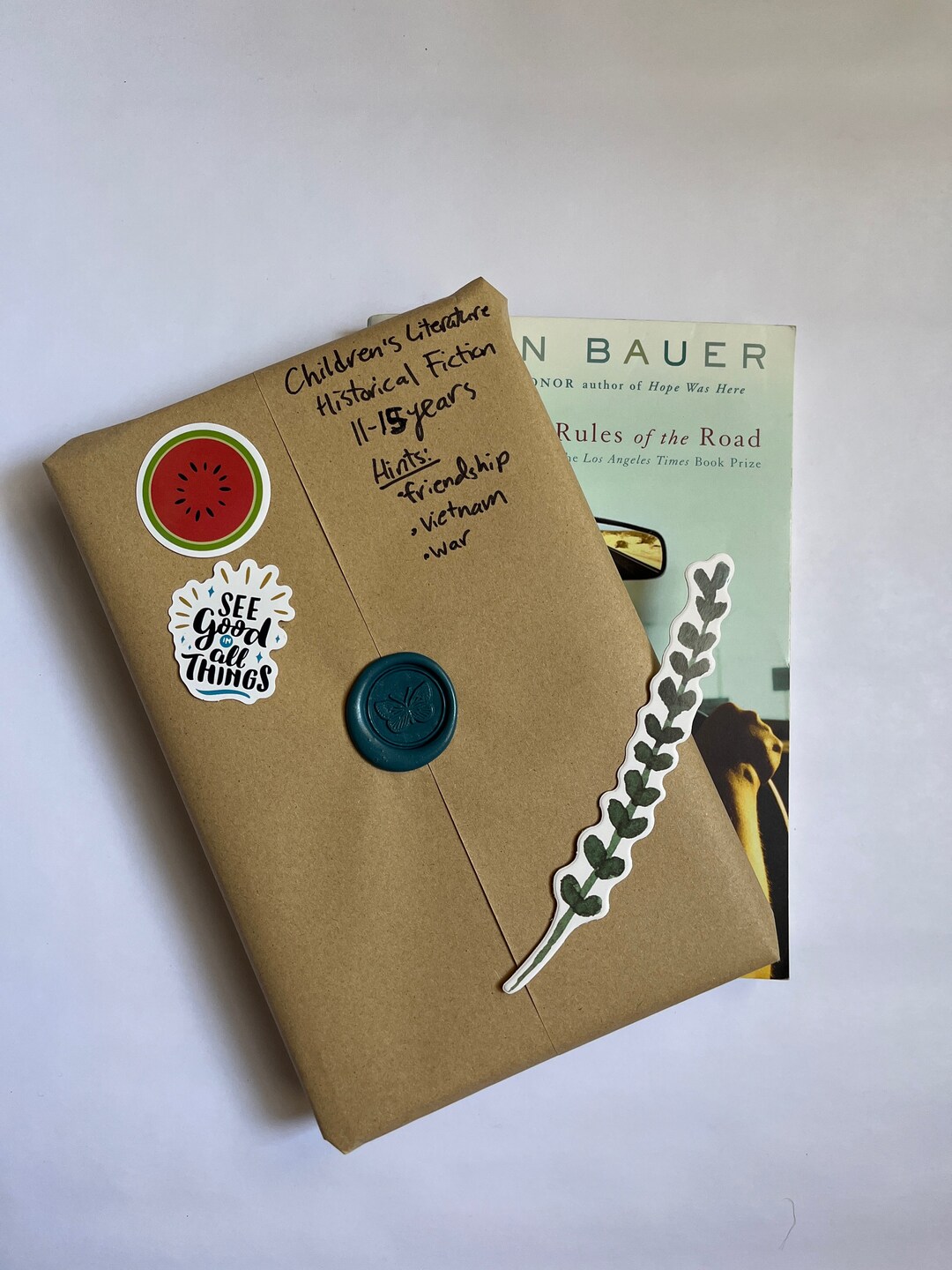 Teen/young Adult Surprise Book Box - Etsy