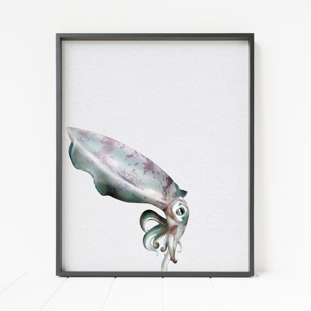 Squid Print, Cuttlefish Decor, Squid Wall Art, Ocean Decor, Minimalist ...