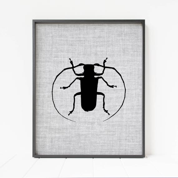 Insect Print Longhorn Beetle Print Insect Printable Art Bug | Etsy