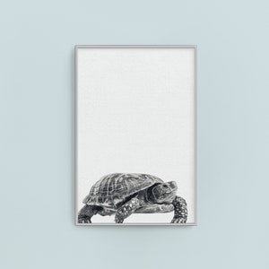 Box Turtle Print, Turtle Nursery Decor, Woodland Nursery Art, Printable ...