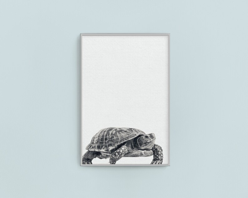 Box Turtle Print, Turtle Nursery Decor, Woodland Nursery Art, Printable ...