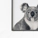 Koala Print, PRINTABLE Animal Wall Decor, Koala Decor, Nursery Wall Art ...