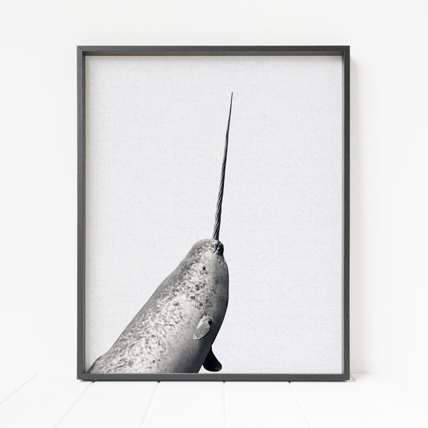 Narwhal Print - Etsy