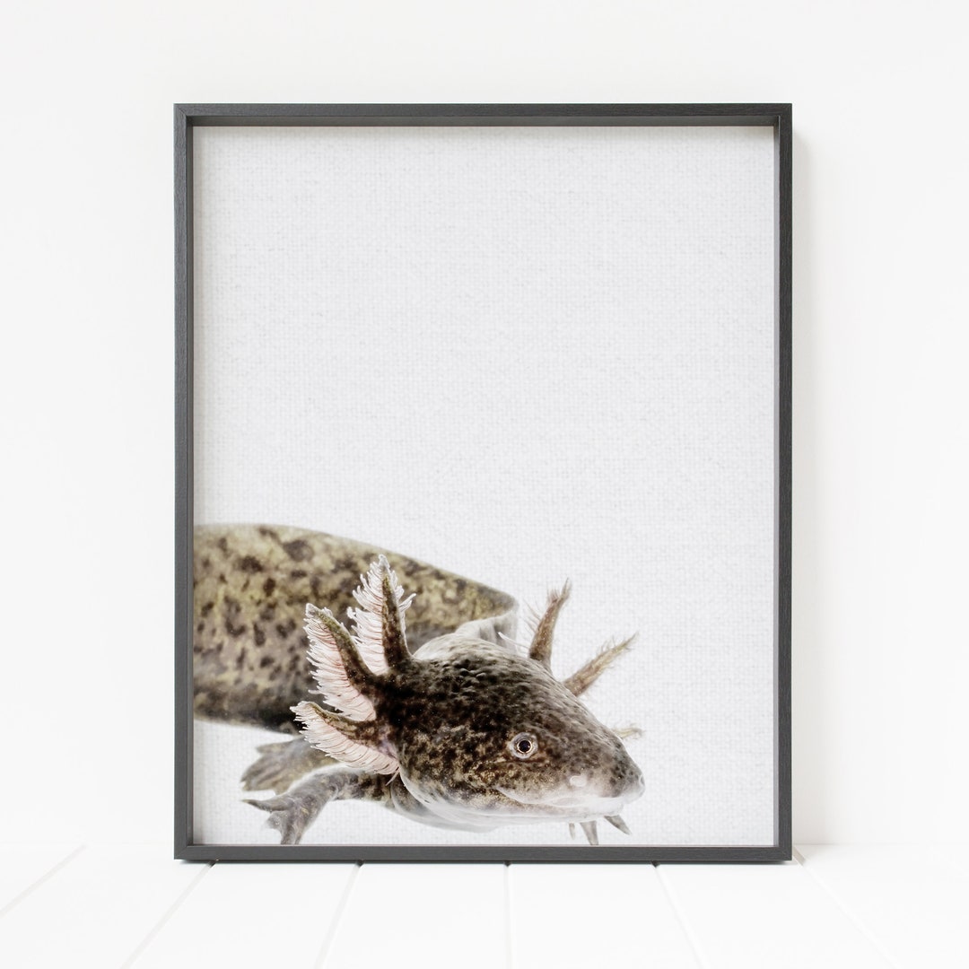 Axolotl Print, Axolotl Decor, Axolotl Wall Art, Printable Axolotl ...