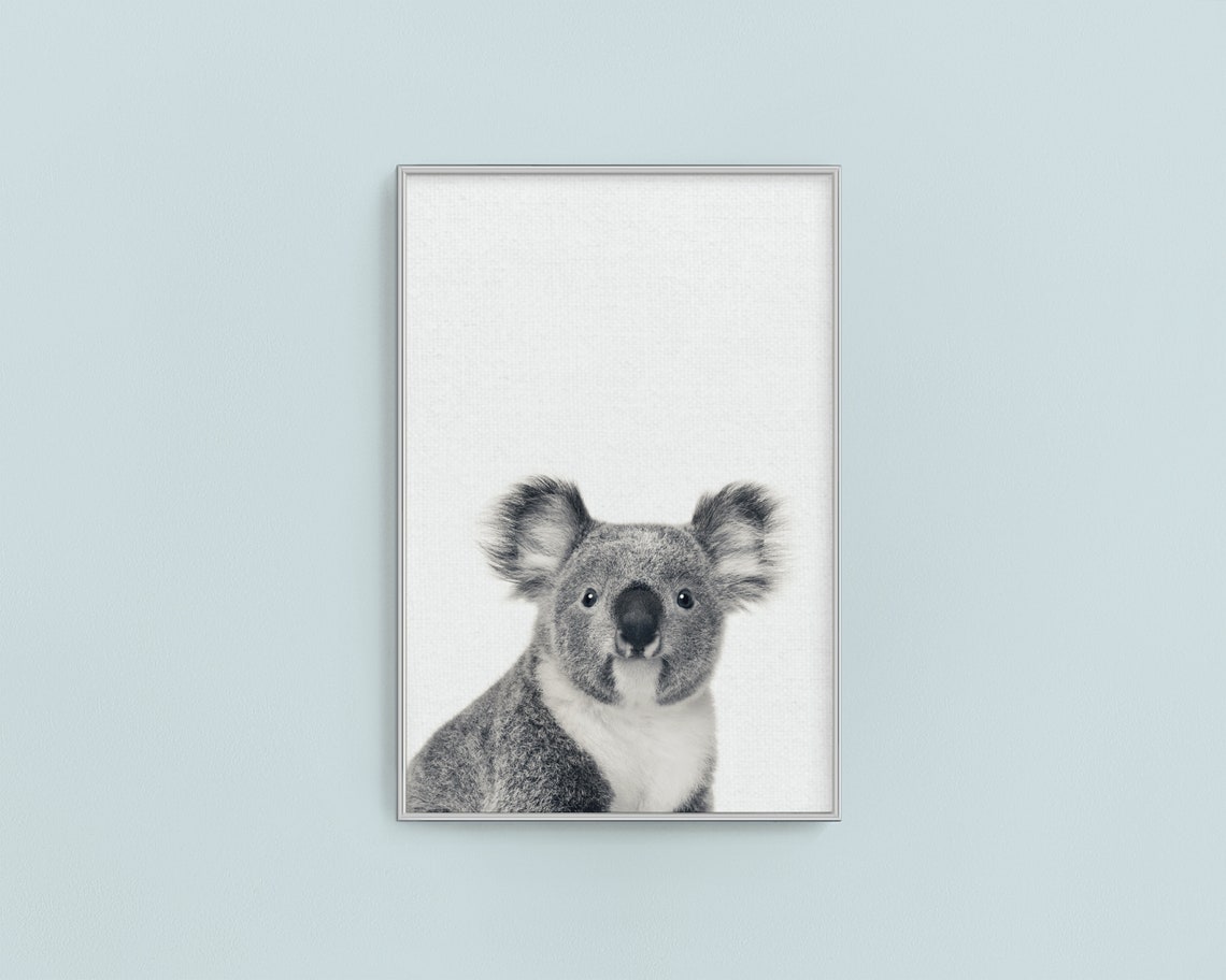 Koala Print PRINTABLE Animal Wall Decor Koala Decor Nursery - Etsy