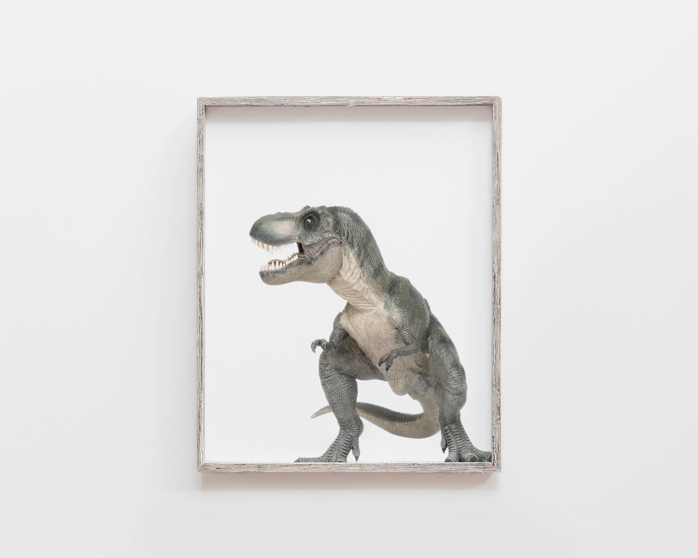 T-rex Print Dinosaur Print Dinosaur Wall Art Playroom - Etsy