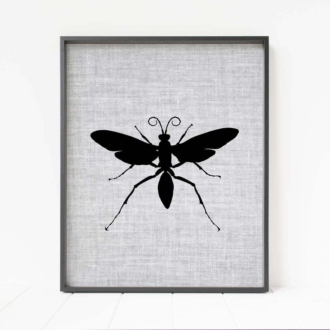 Insect Print, Fly Decor, Bug Decor, Insect Decor, Beetle Print - Etsy