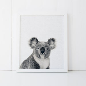 Koala Print, PRINTABLE Animal Wall Decor, Koala Decor, Nursery Wall Art ...