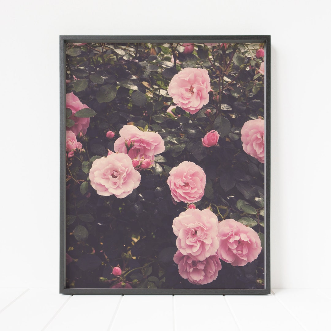 Rose Print, Floral Wall Decor, Flower Wall Art, Pink Rose Decor ...